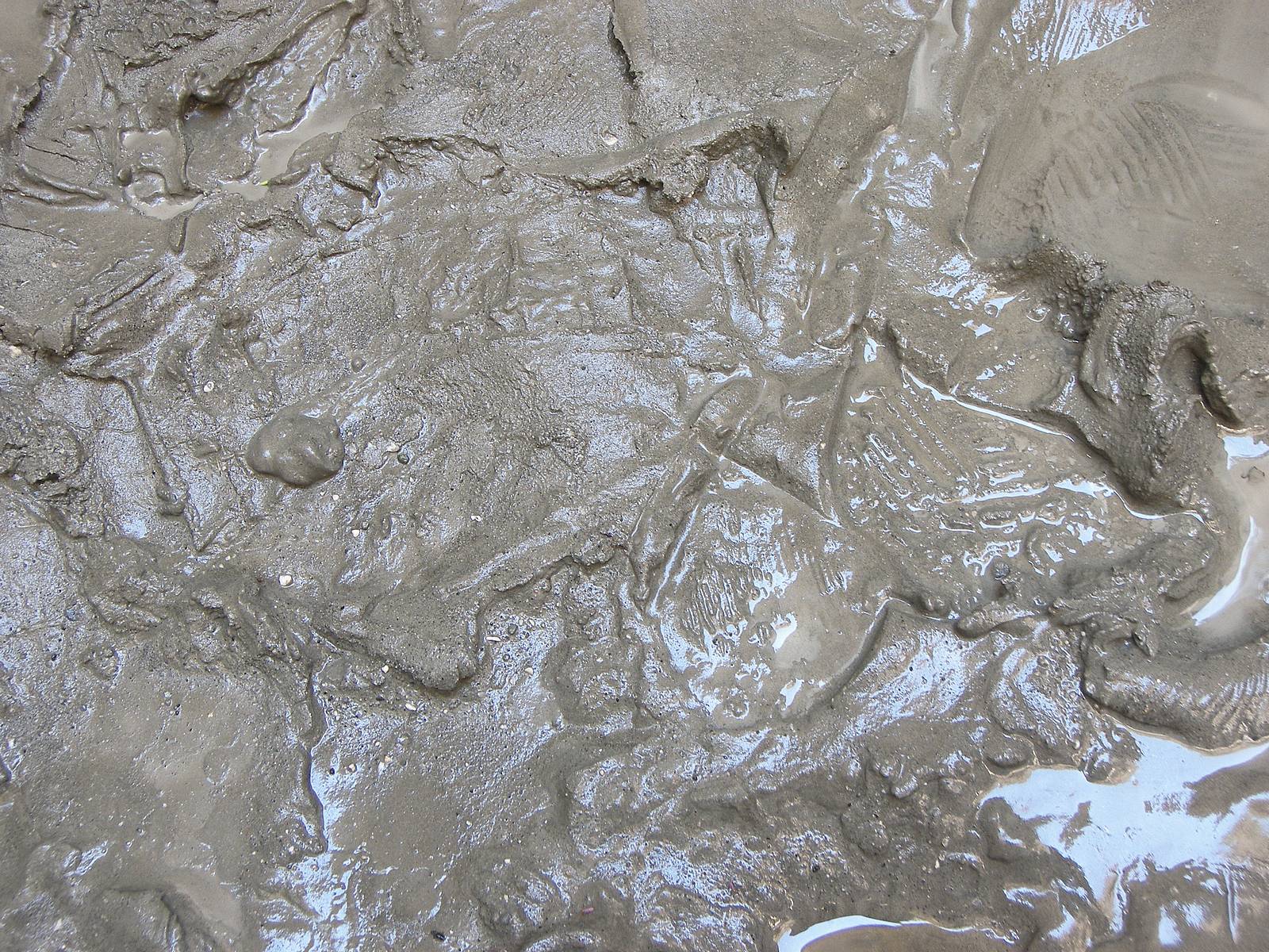 Fear Not The Mud | Real Women